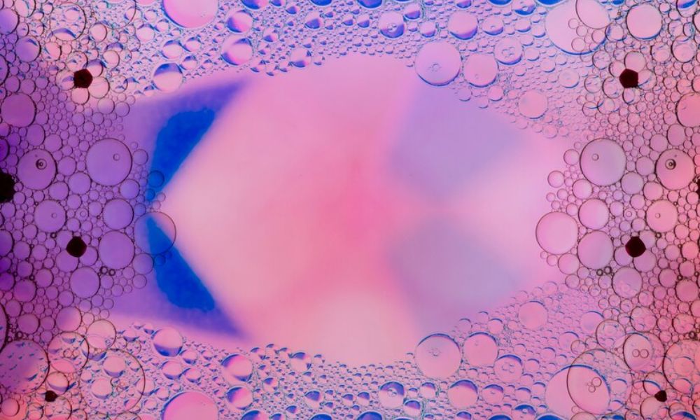 ¿Qué es Zonula occludens y para qué sirve? 🥇【Diccionario】